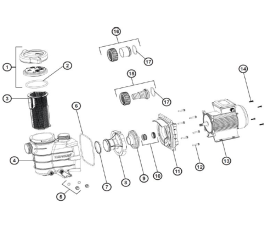 Hayward Powerline Pump - Spares